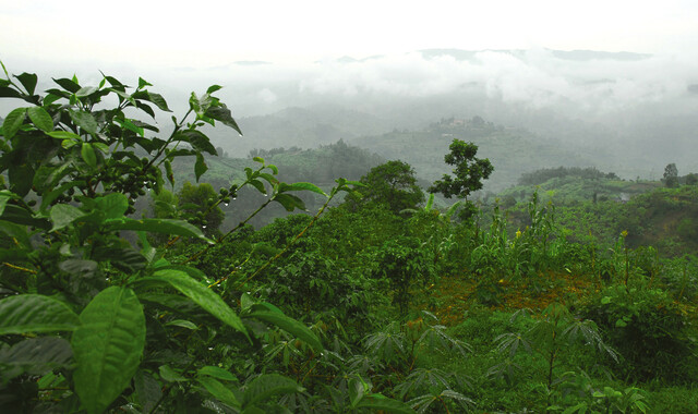 Ruanda Reiseinspirationen | Explorer Fernreisen - explorer.de